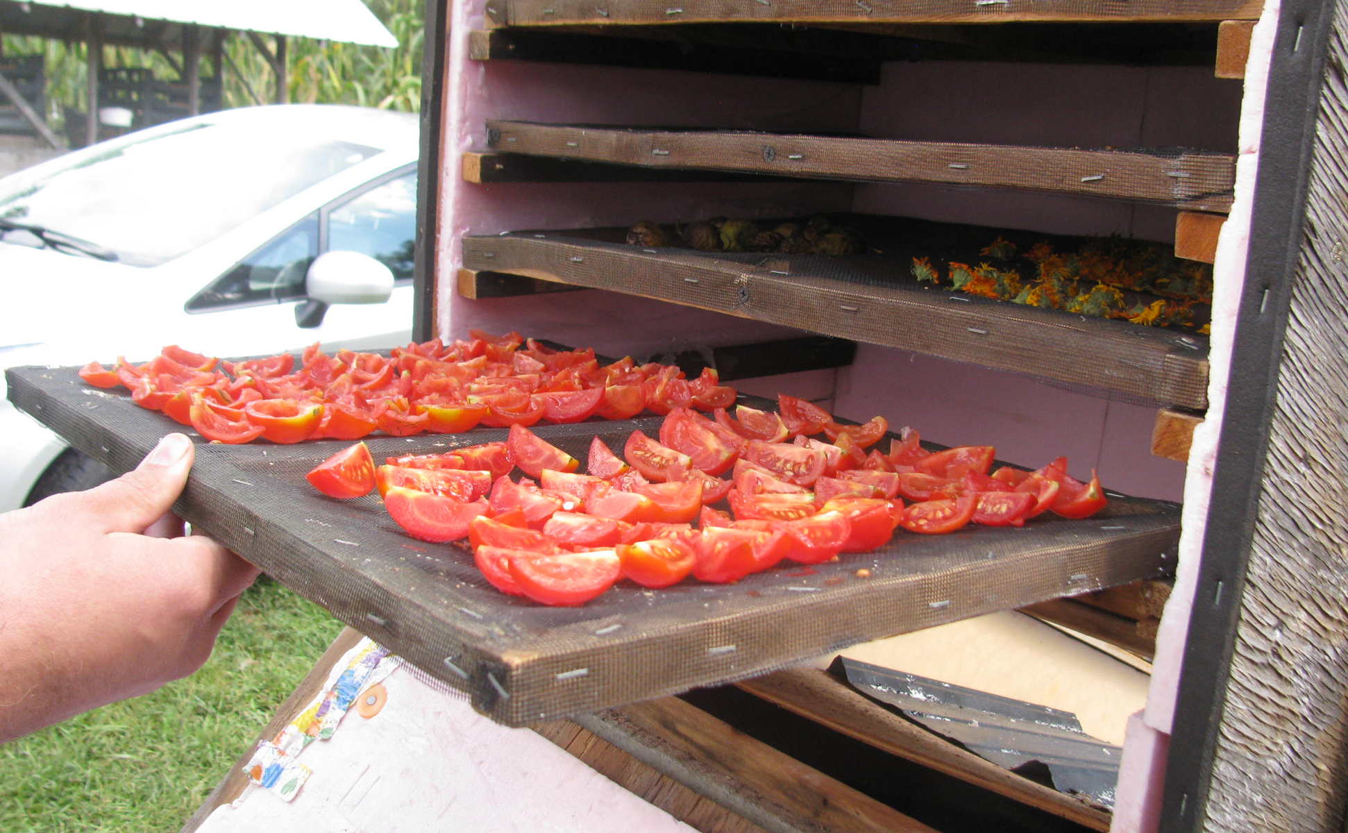 How to Build a Food Dehydrator – Mother Earth News